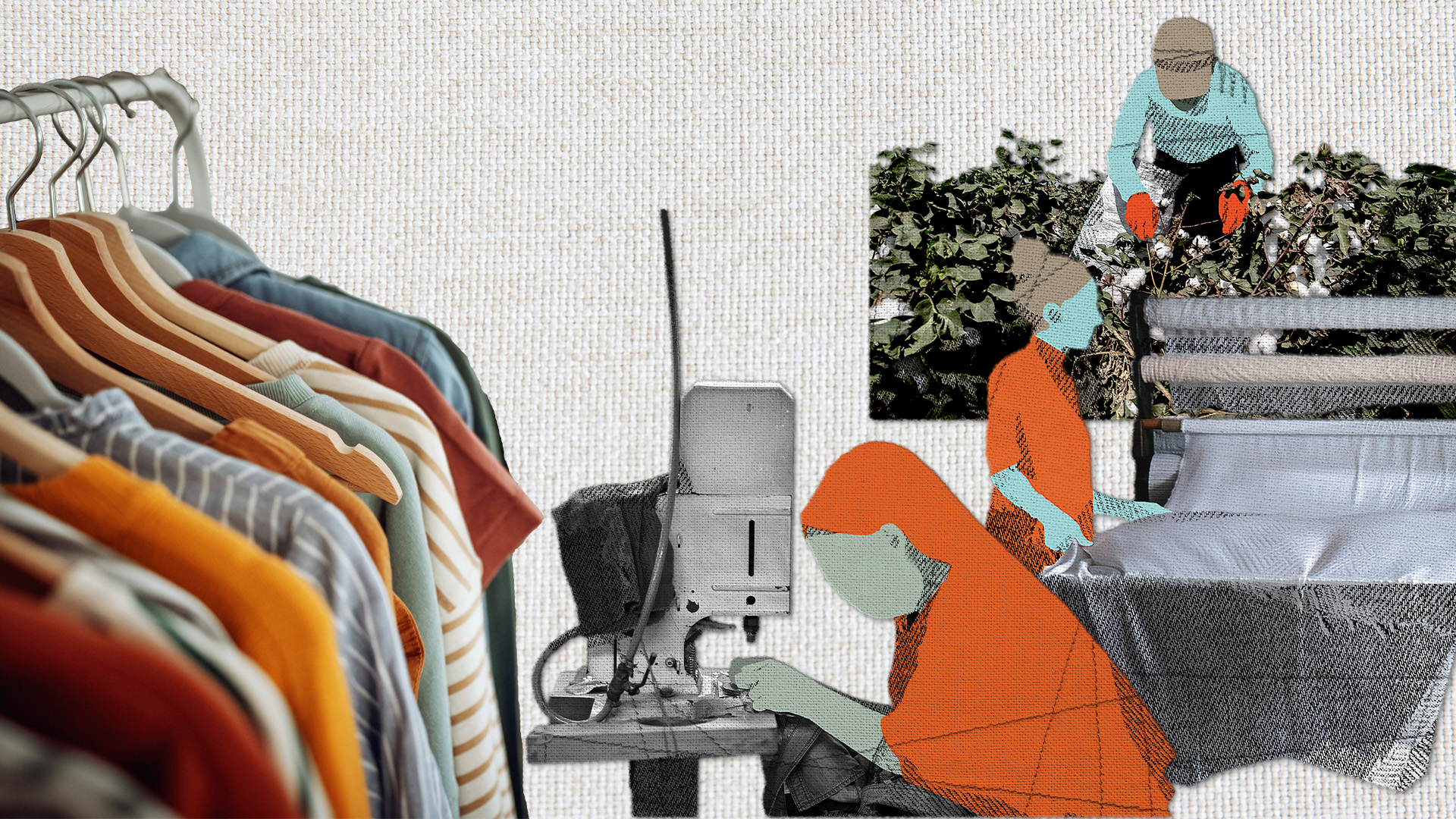 Here s How Your 10 T shirt Is Made Fast Fashion Explained